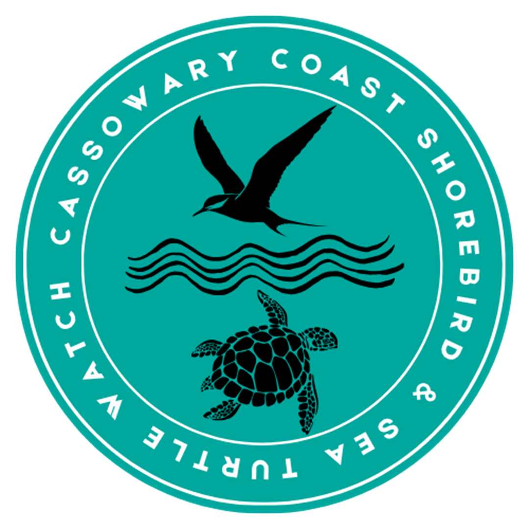 Cassowary Coast shorebird and sea turtle watch | Cassowary Coast ...